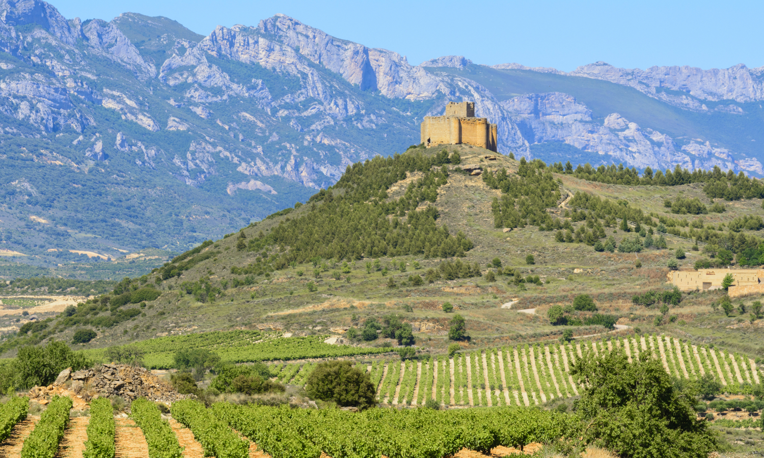 Excursión a las Bodegas Murua y Pueblos de la Rioja | Buendía Tours ...