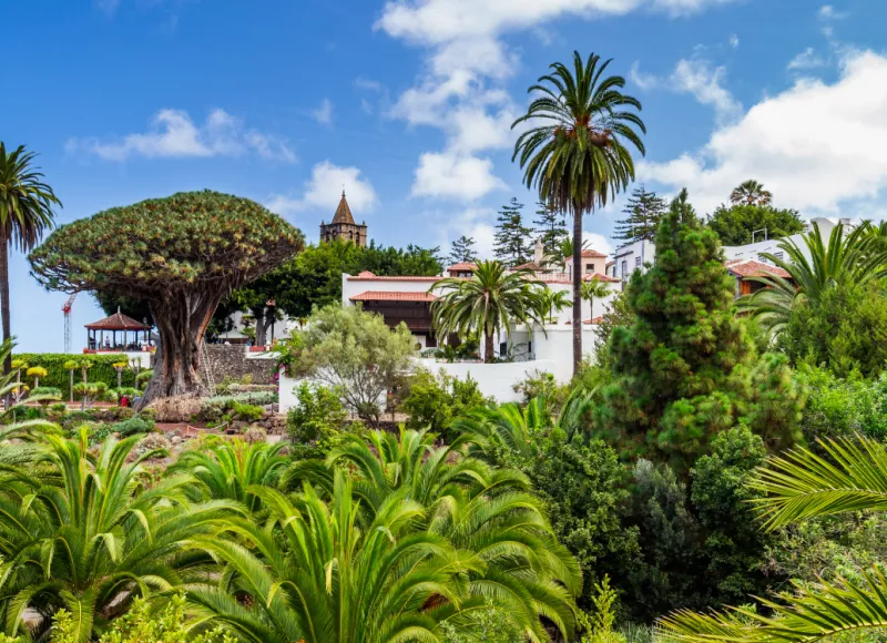 Excursión al Teide, Icod, Garachico y Masca | Buendía