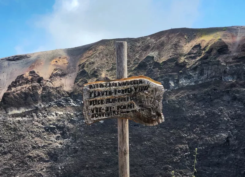 Bus Ida y Vuelta al Monte Vesubio desde Herculano | Buendía Bus Ida y Vuelta al Monte Vesubio desde Herculano | Buendía